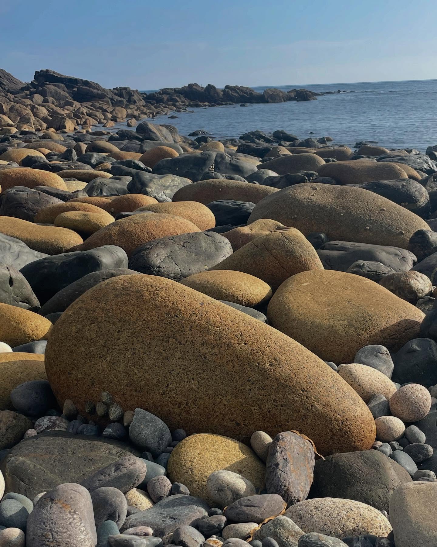 Got the January blues? - The Studio, Cape Cornwall, Holiday Let in West ...